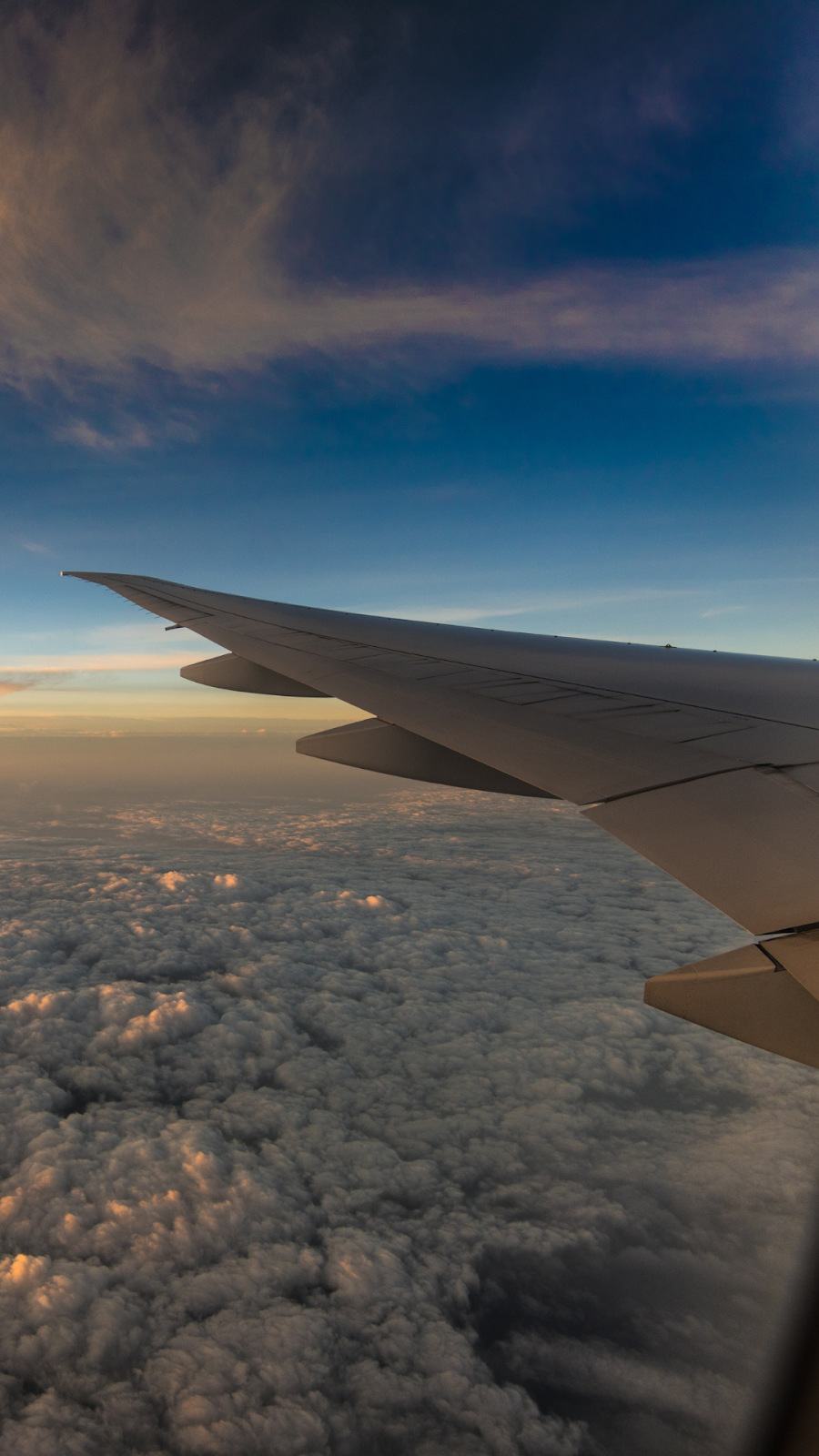 JetBlue LAX Terminal+1–866–666–0203 | by Thomasshelby | Jun, 2024 | Medium