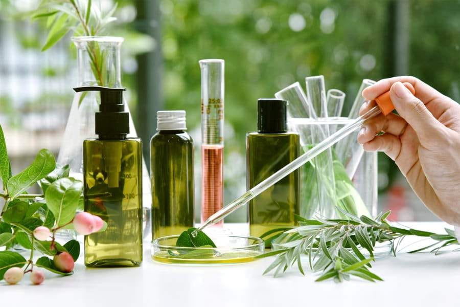Botanical Extracts: A Natural Approach | by USSFGMP | Aug, 2024 | Medium