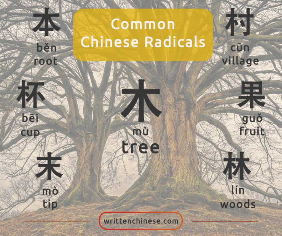 How Language Shapes Thought. Language is more than a tool for… | by ...