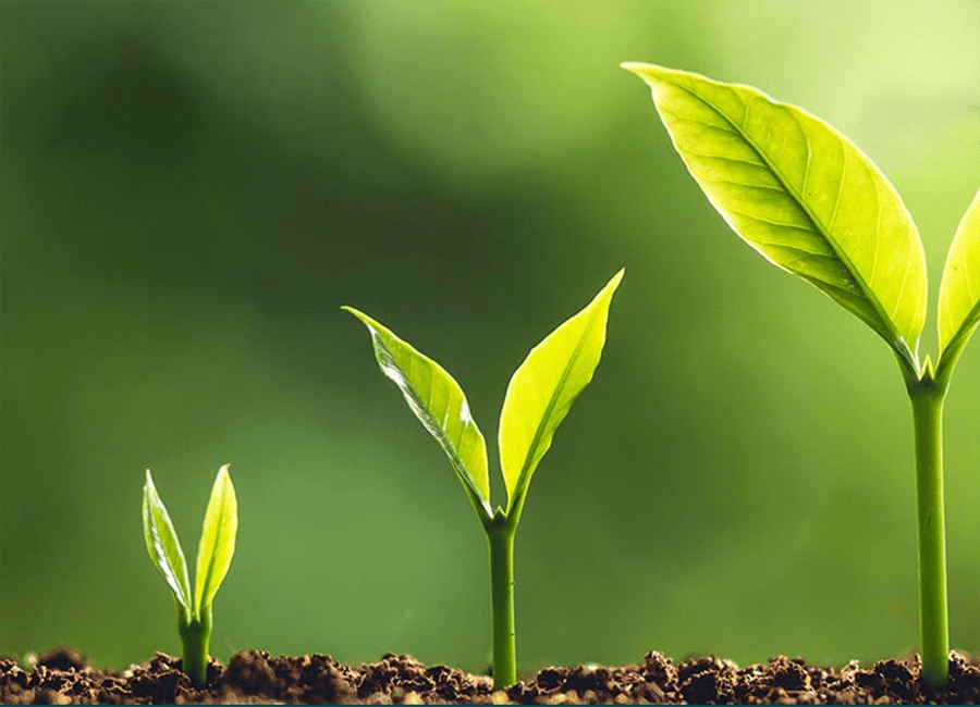 🌱 Seeding in Rails with a Spreadsheet. | by Chloe Peng | Medium