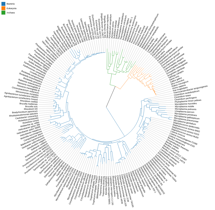 Demoing the Tree of Life in MicrobeTrace | by Tony Boyles ...