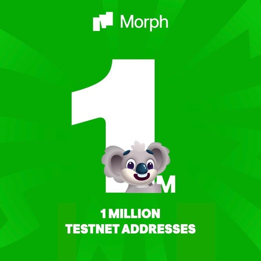 Résumé hebdomadaire de Morph 6.10 | by Morph Global | Medium