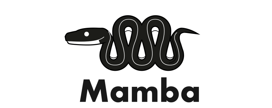 Introducing Mamba 2.0. A Major Leap in Package Management | by ...