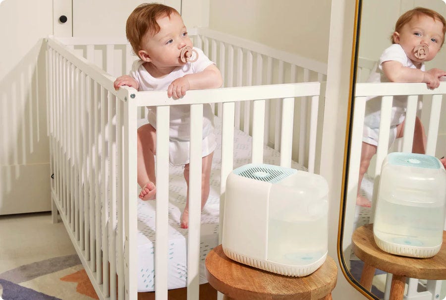 Canopy: The humidifier that’s good for your skin and will never mold ...