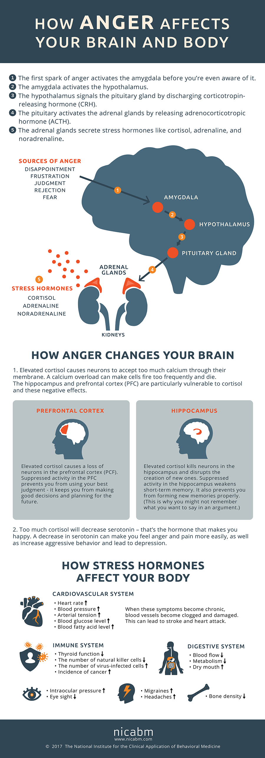 Benefits of Anger: The Science Behind It & 5 Steps to Achieve Your ...
