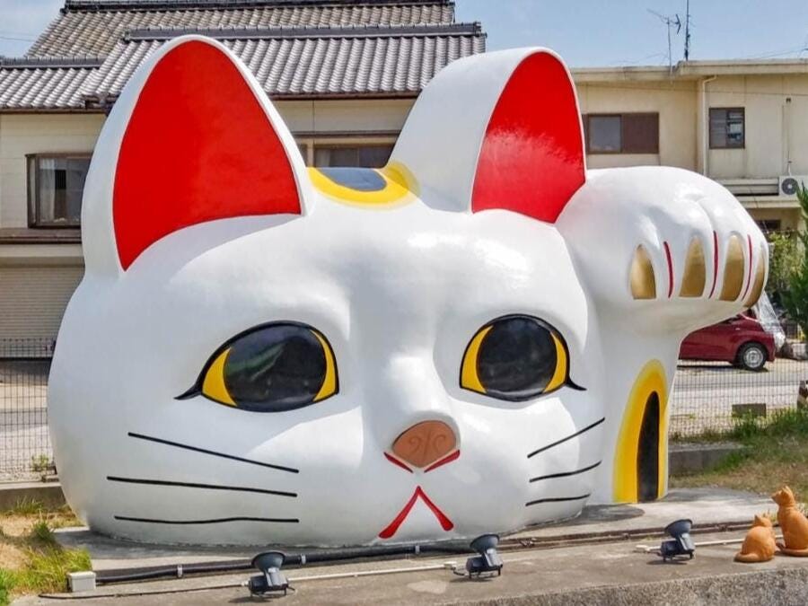 Unique Experiences in Japan For Your Next Trip | by Shaun Melady | Aug, 2024 | Medium