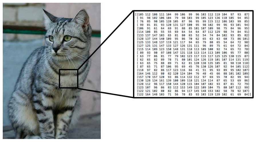 Image Classification using Neural Networks and other traditional ...
