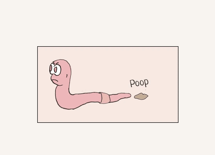 #09: Magic poop: a love letter to Red Wiggler worms | by Gourmet Graphs ...