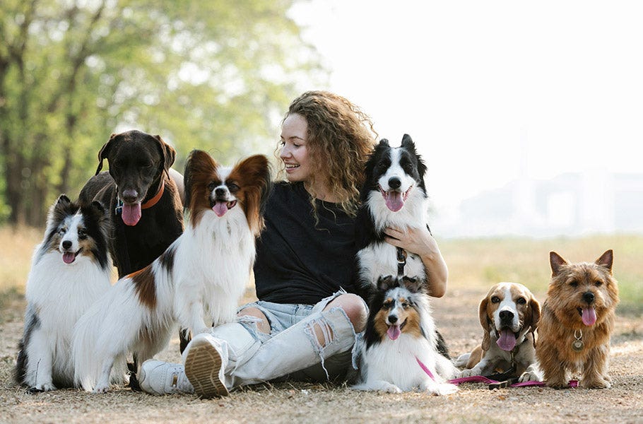 Understanding Breed-Specific Behaviors: Why Your Dog Acts the Way They ...