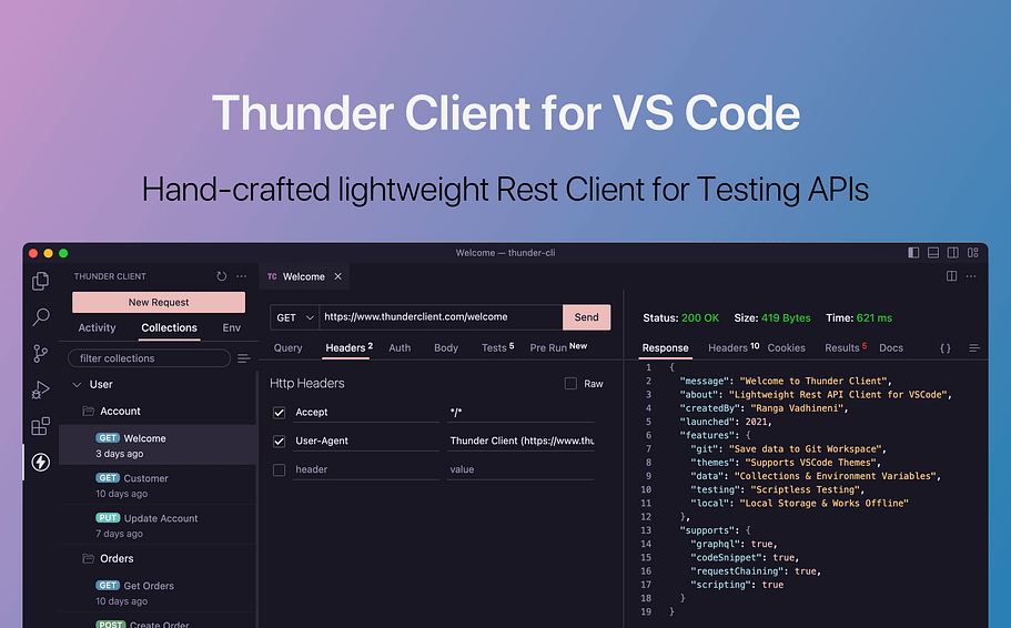 Testing API Menggunakan Thunder Client | by Naufalirsd | Medium
