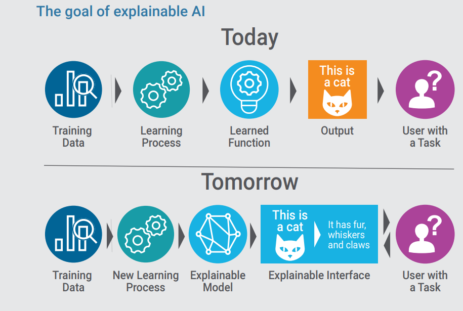 InterpretML: A Simpler Path to Explainable AI (XAI) | by butterfly | Medium