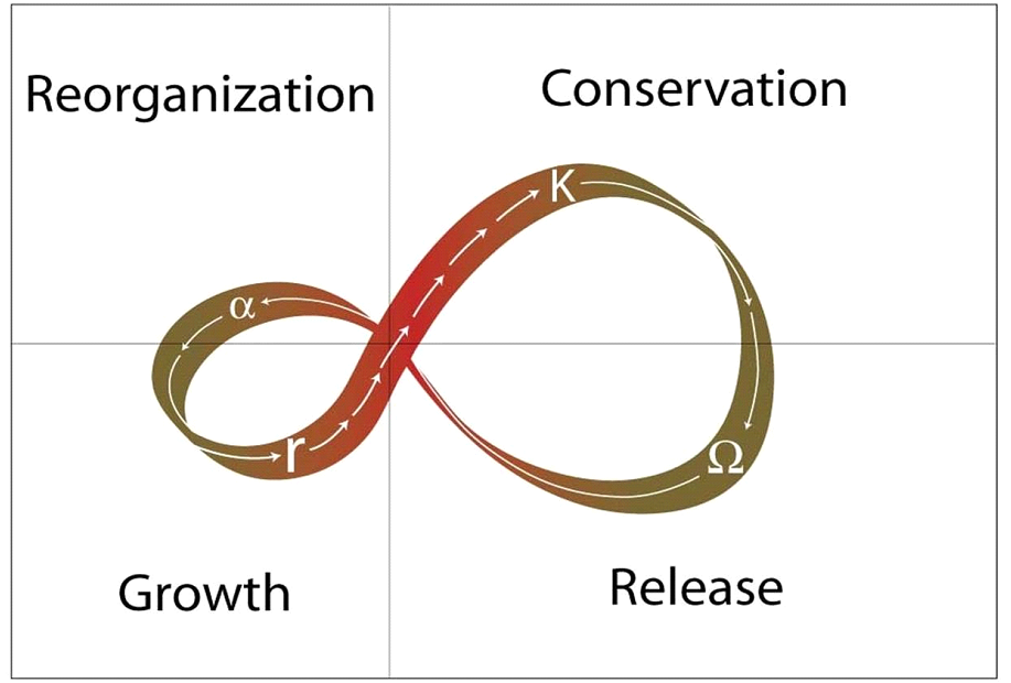 Panarchy and Its Discontents. A conceptual model of the raise and… | by ...