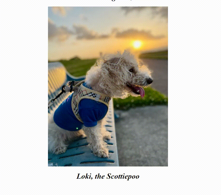 How to integrate Magnific Popup Javascript Library with Shopify | by ...