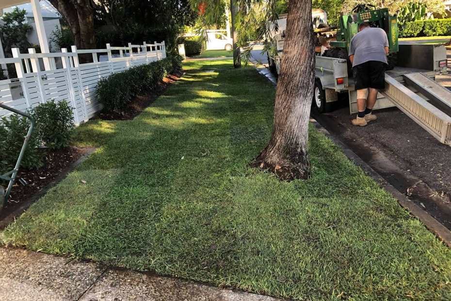 Brisbane Backyard Renovation: The Power of Yard Grading and Nutrient ...