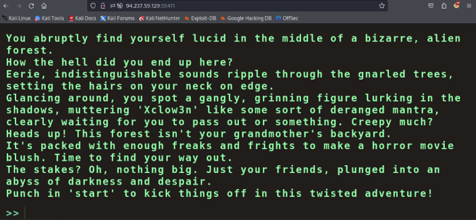 Hack The Box — Challenges: Flag Command | by Hyoung Won Choi | Medium