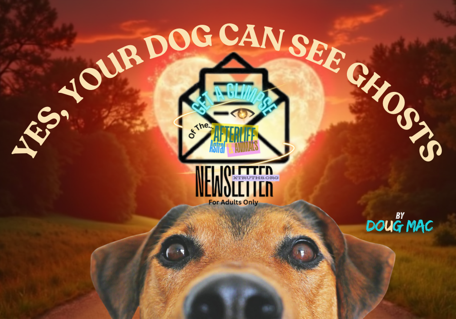 YES, YOUR DOG CAN SEE GHOSTS: THE SCIENCE IS FINALLY REVEALED! | by ...