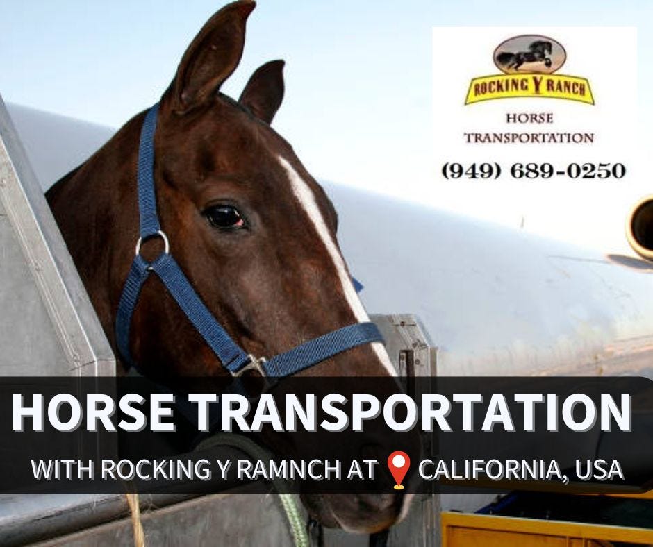 Choosing the Right Horse Hauling Company for Specialized Equine ...