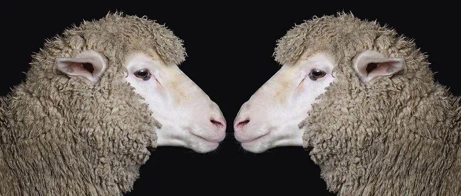 The Ethics and Future Implications of Cloning Technology | by Francis ...