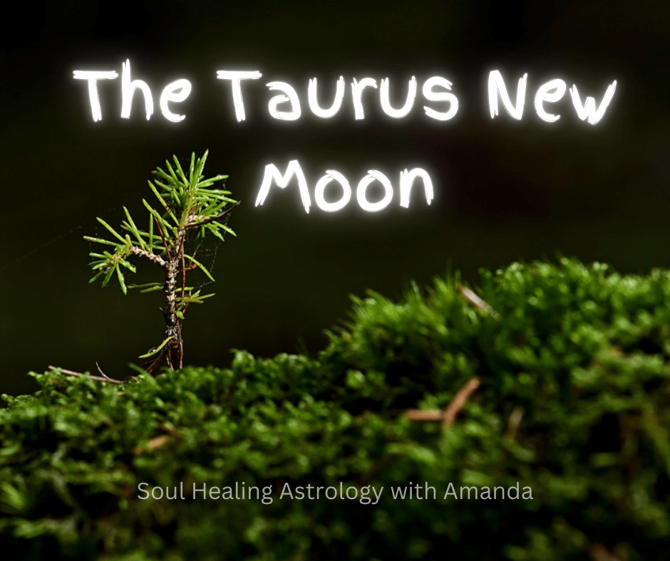 The Taurus New Moon on April 27th, 2025: What it Means for Your Zodiac ...