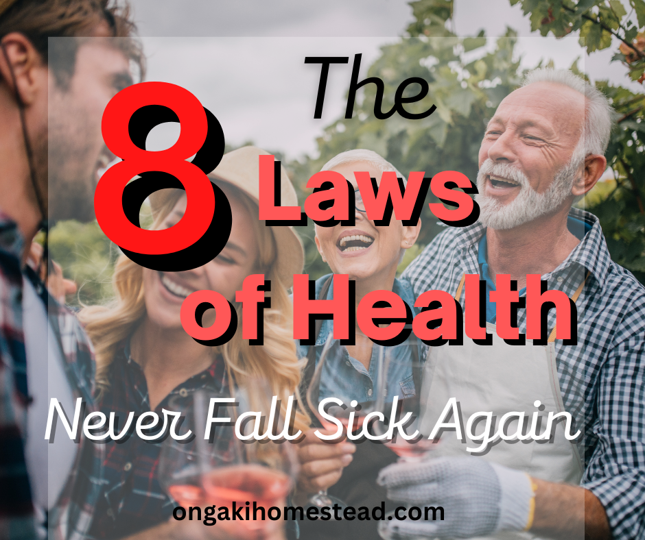 The 8 Laws of Health: Never Fall Sick Again | Medium