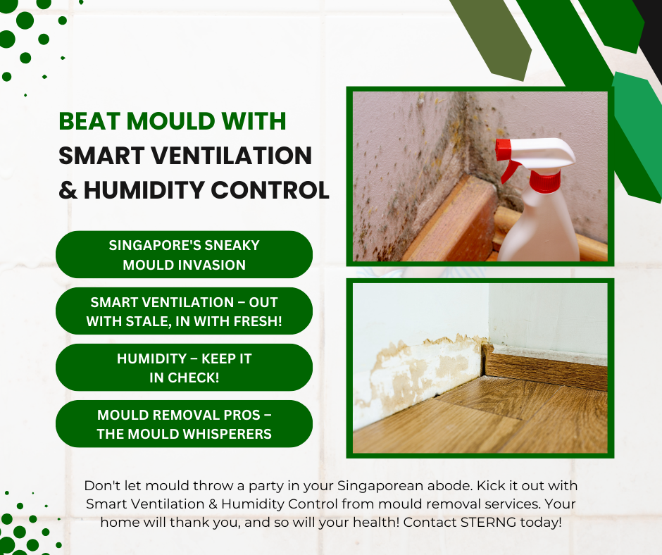 Beat Mould with Smart Ventilation & Humidity Control | by Jerrytsui ...