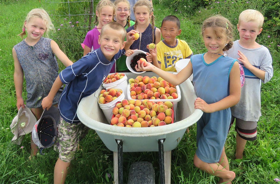 Children: The World’s Best Naturalists | by bruderhof.com | The ...