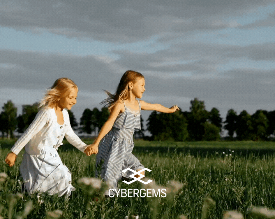 Cybergems: Cultivating a Legacy of Digital Memories | by CybergemsNFT | Medium