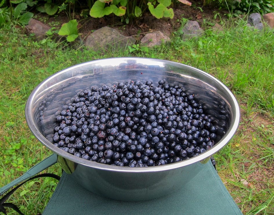 Food as part of traditional ecological knowledge | by Land Body ...