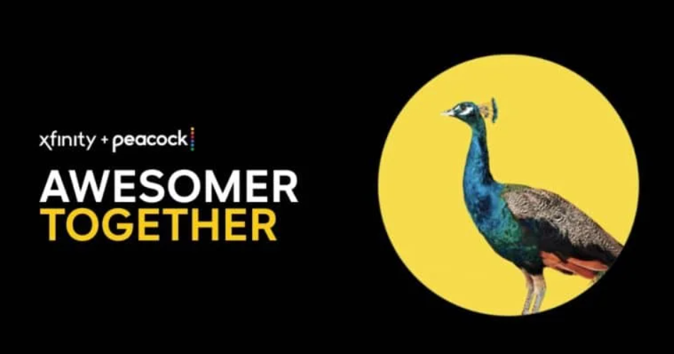 Xfinity Now TV subscribers can access Peacock Premium for free | by ...