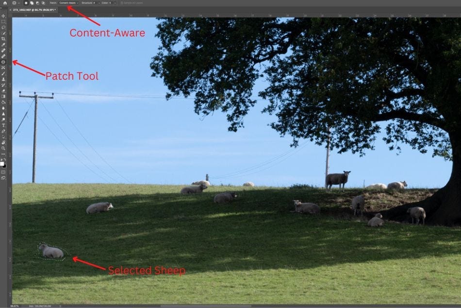 Deciphering the “Not Enough Source Pixels” Error in Photosho | by Niel ...