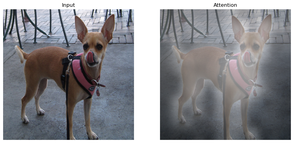 Exploring Visual Attention in Transformer Models | by Niv Leibovitch ...