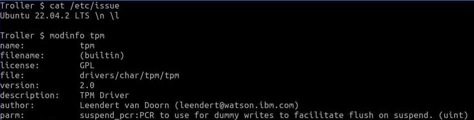 The Linux Process Journey — “tpm_dev_ wq” | by Shlomi Boutnaru, Ph.D ...