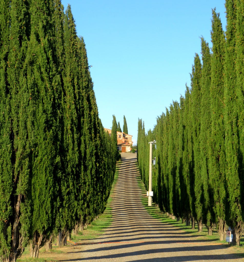 Road Trip Through Tuscany. Italian drivers, ZTL restricted zones… | by ...