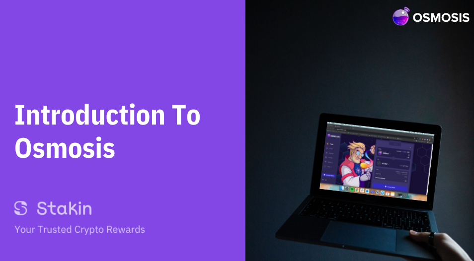Introduction To Osmosis. User Guide and Overview of Osmos, the… | by Gisele Schout | Stakin | Medium
