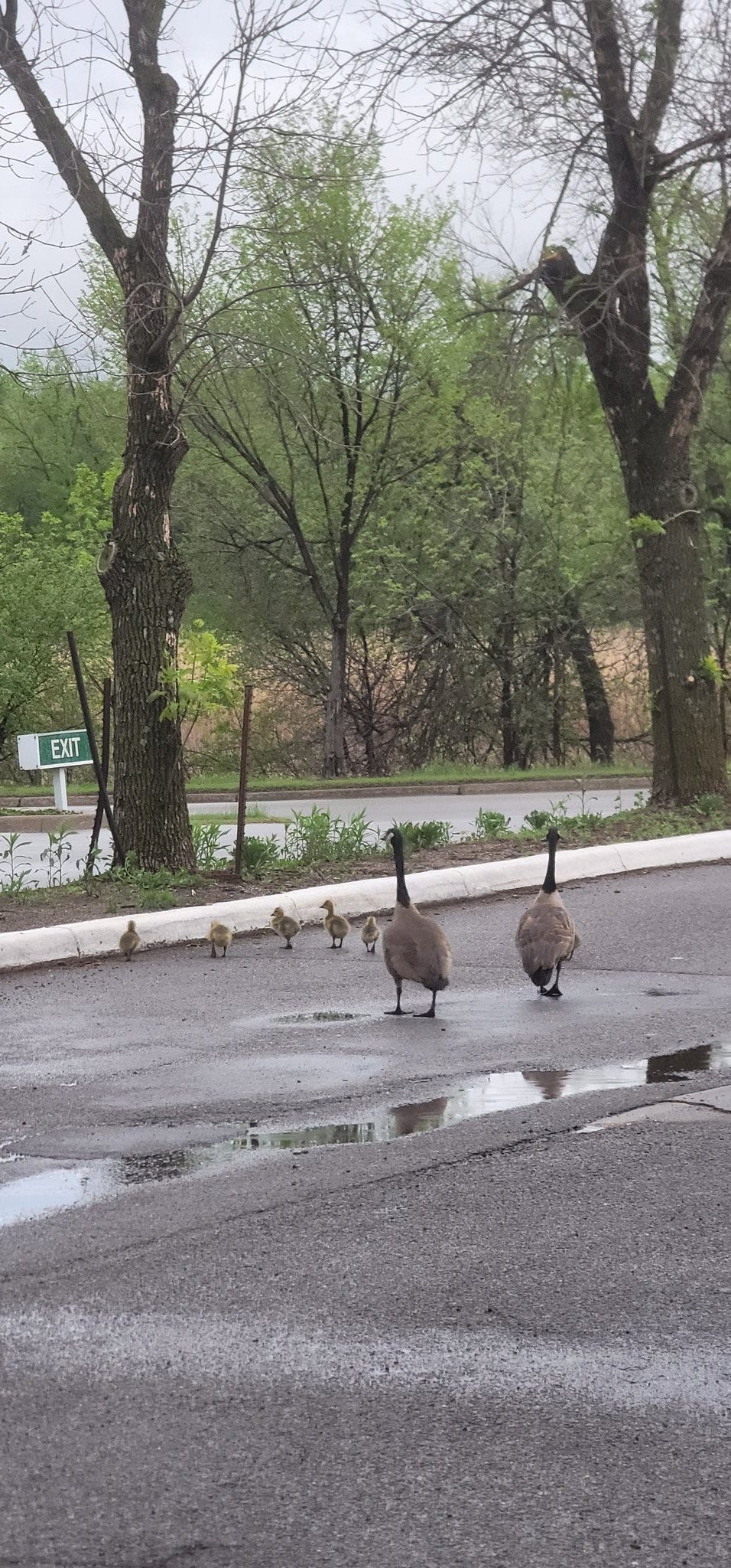 Encouraging Fairytales; Within All Actualities | by William Bednar | Medium