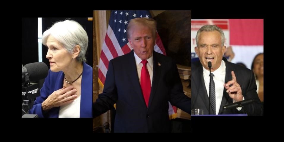 …And The Use Of Protest Votes. Third-party voters were blamed for… | by ...