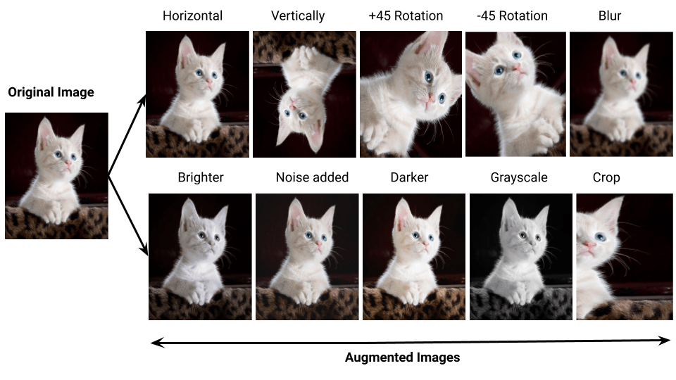 Data Augmentation on Ultralytics for training YOLOv5/YOLOv8 | by Sunny ...