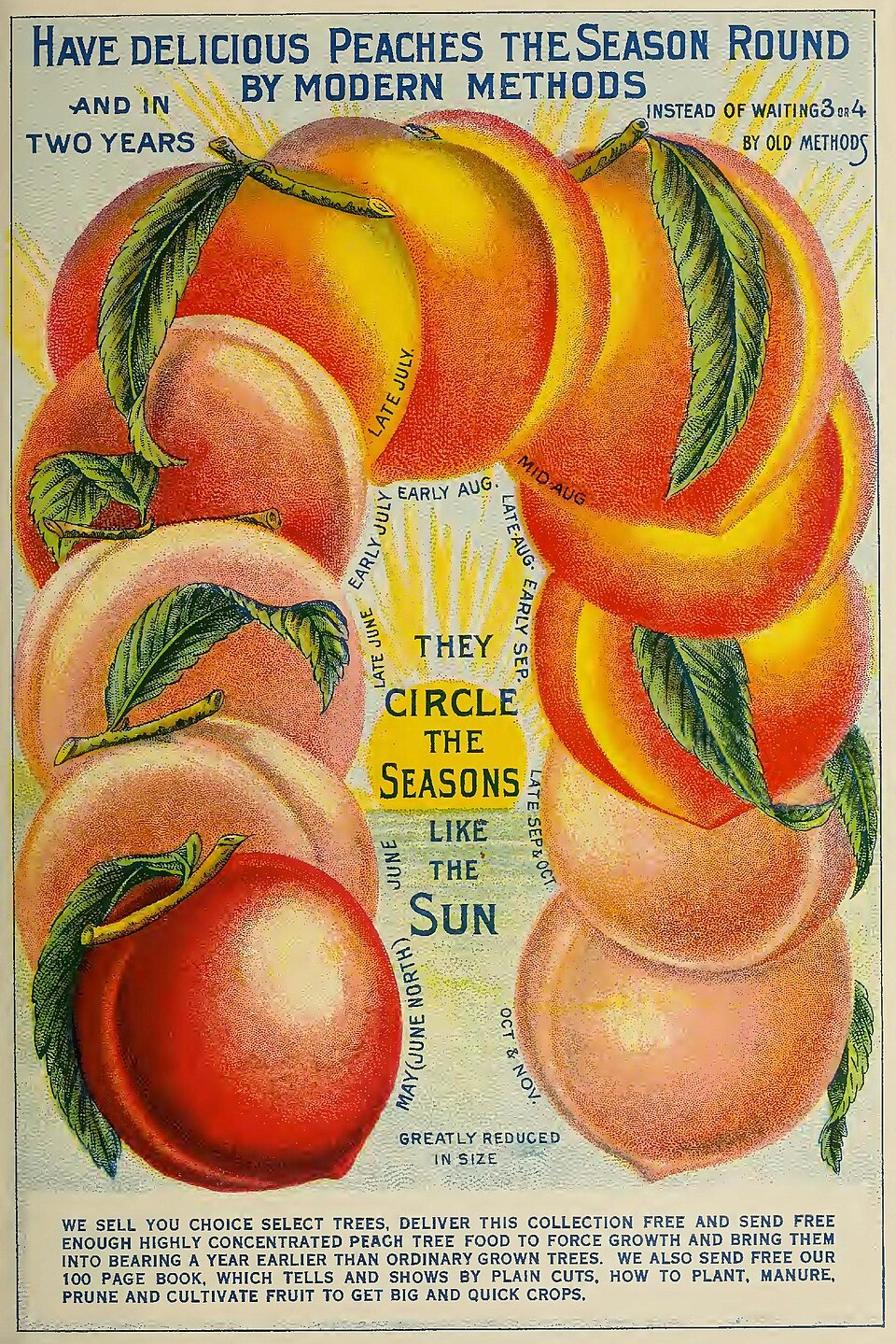 5 Vegan No-Bake Desserts from History for a Springtime Sweet Treat | by Danielle Herring | Plant ...