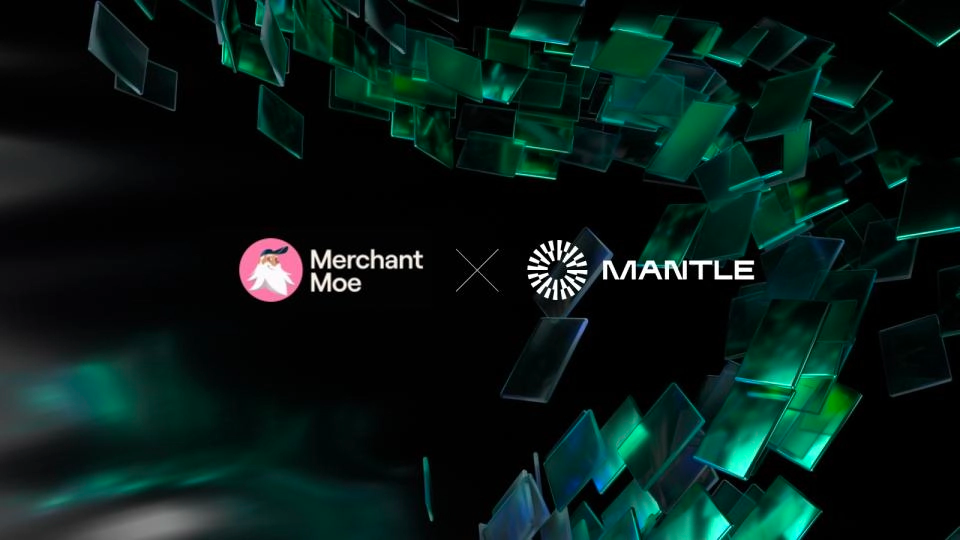 Mantle 项目巡礼：Trader Joe 旗下 Merchant Moe 协议集成 Mantle 流动性枢纽 - Mantle CN ...