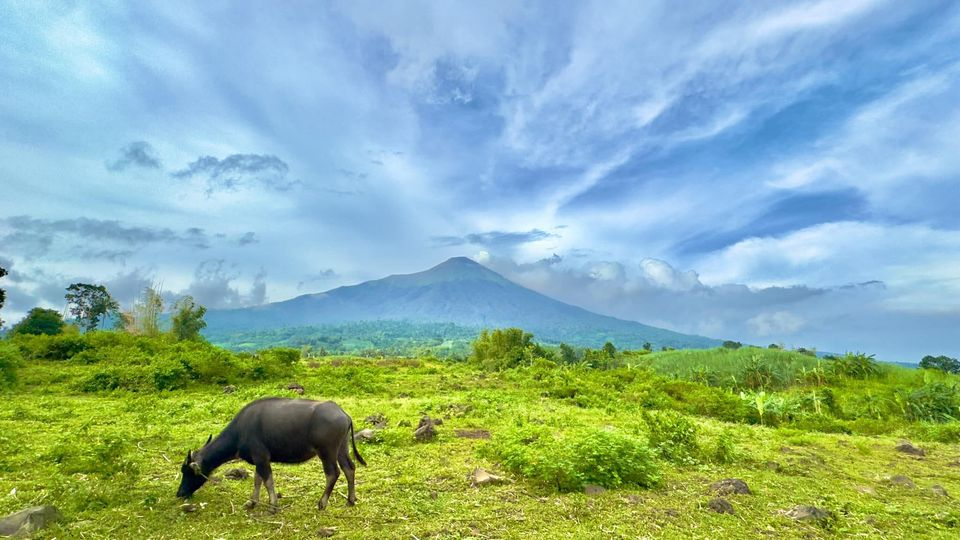 progress over perfection. wonder | wander | world pick of the… | by ...