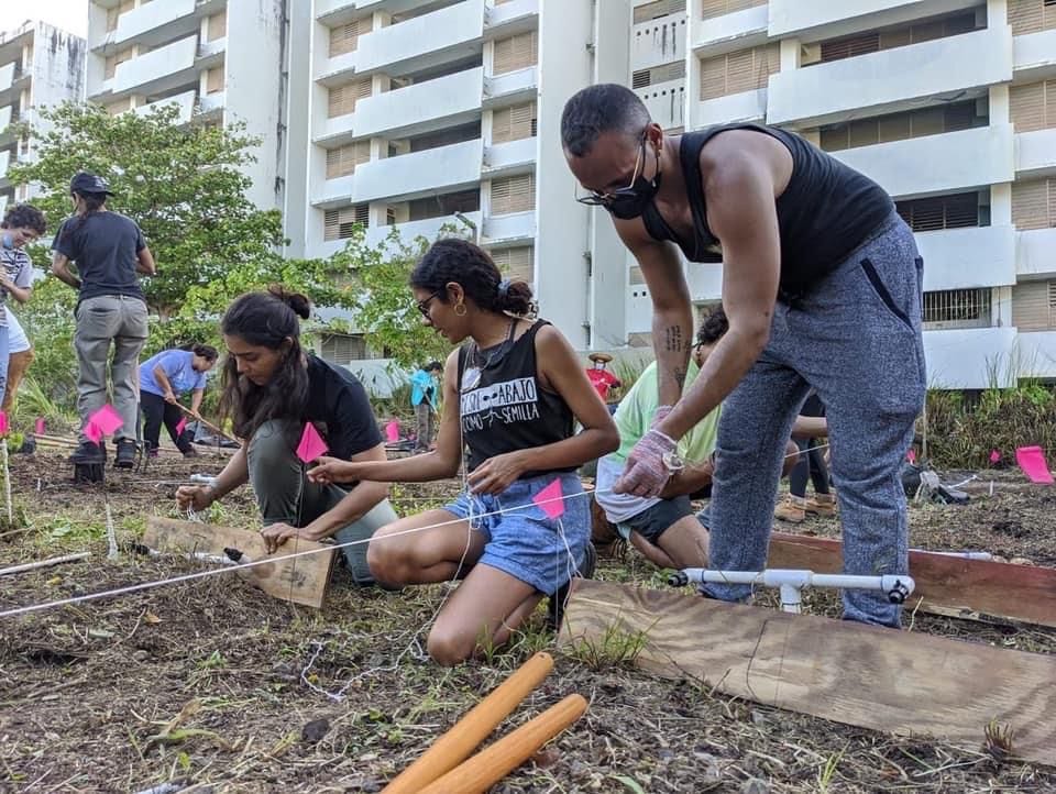 Escuelita Semillera is added to the list of agroecological schools in Puerto Rico! | by Carol ...