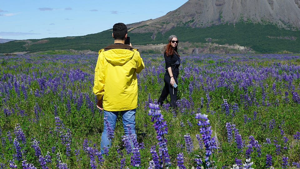 The Biological Basis of Human Irrationality | by Alexi Stel | Aug, 2024 ...