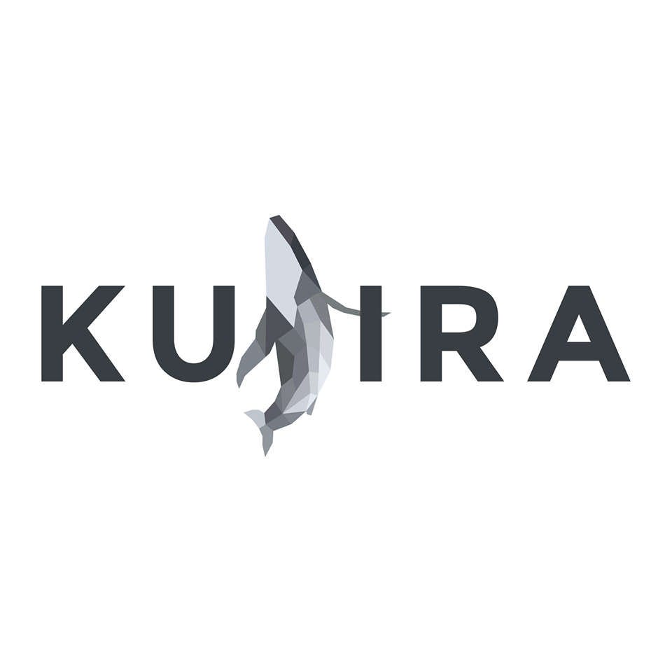 KUJİRA STAKE REHBERİ. Çoğunlukla blockchain ağlarının temel… | by ...