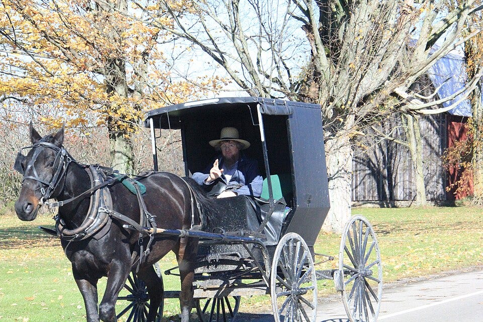 Amish Leader Declares “We Were Right All Along” | by Scott Christenson🌴 ...