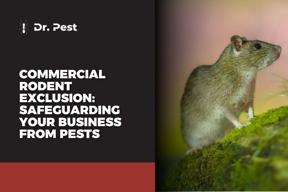 Commercial Rodent Exclusion: Safeguarding Your Business from Pests | by ...