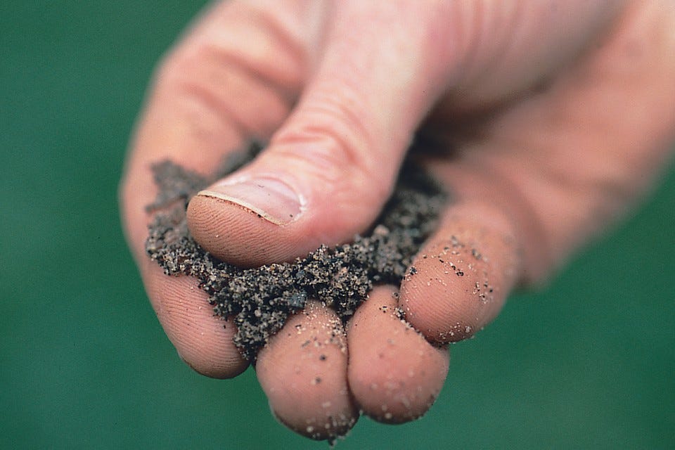 What is Dirt?. Precis of Soil Science Simplified 5th… | by Chuk Moran ...