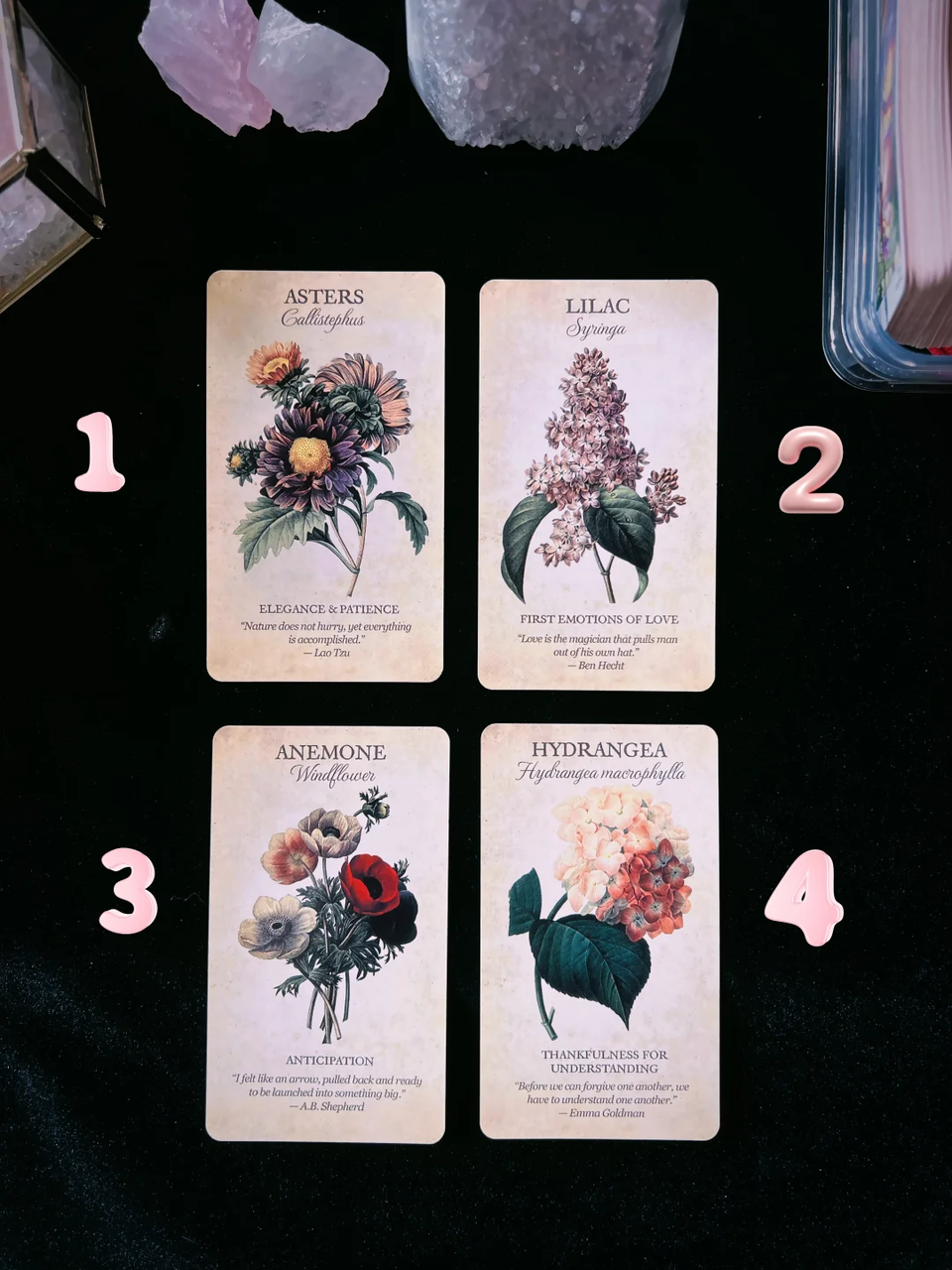 Who Will Be Your Future Partner? Pick A Card | by Harry Blackwood ...