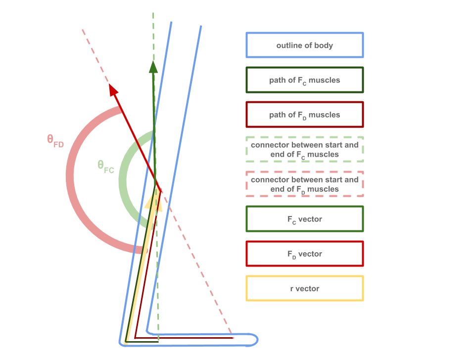 A Simple Model for the Handstand. Introduction | by Amelia Brown | Medium
