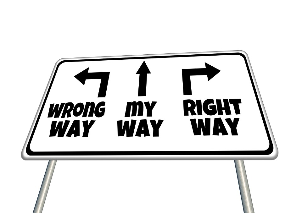 Action Research Gone Rogue. How “Direction, Not Directions” creates ...