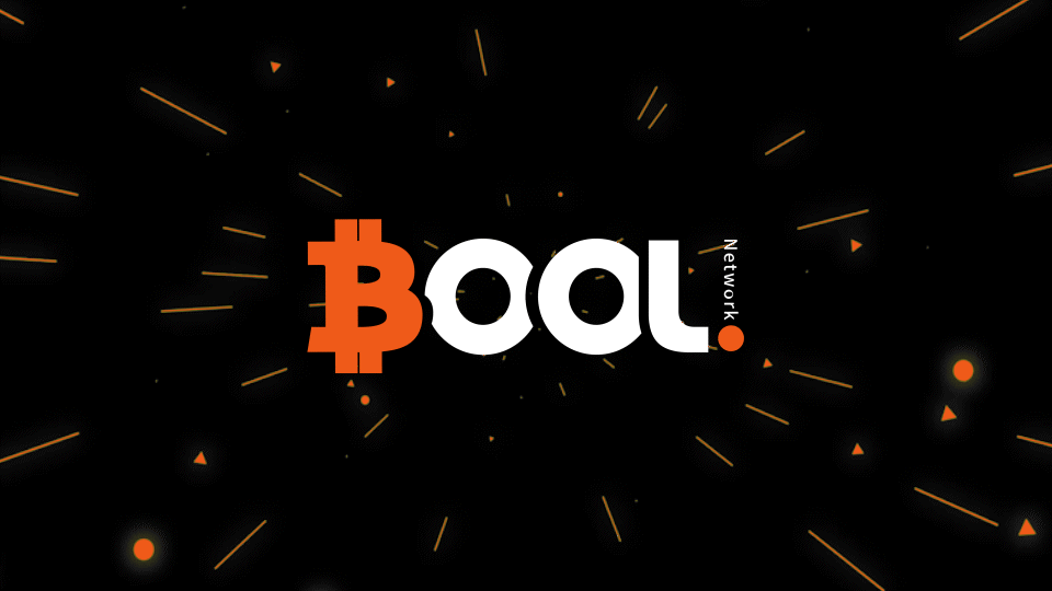 About Bool Network